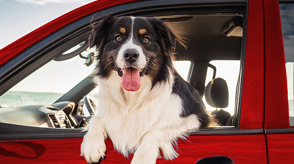 HSBC Personas - Productos Y Servicios - HSBC México